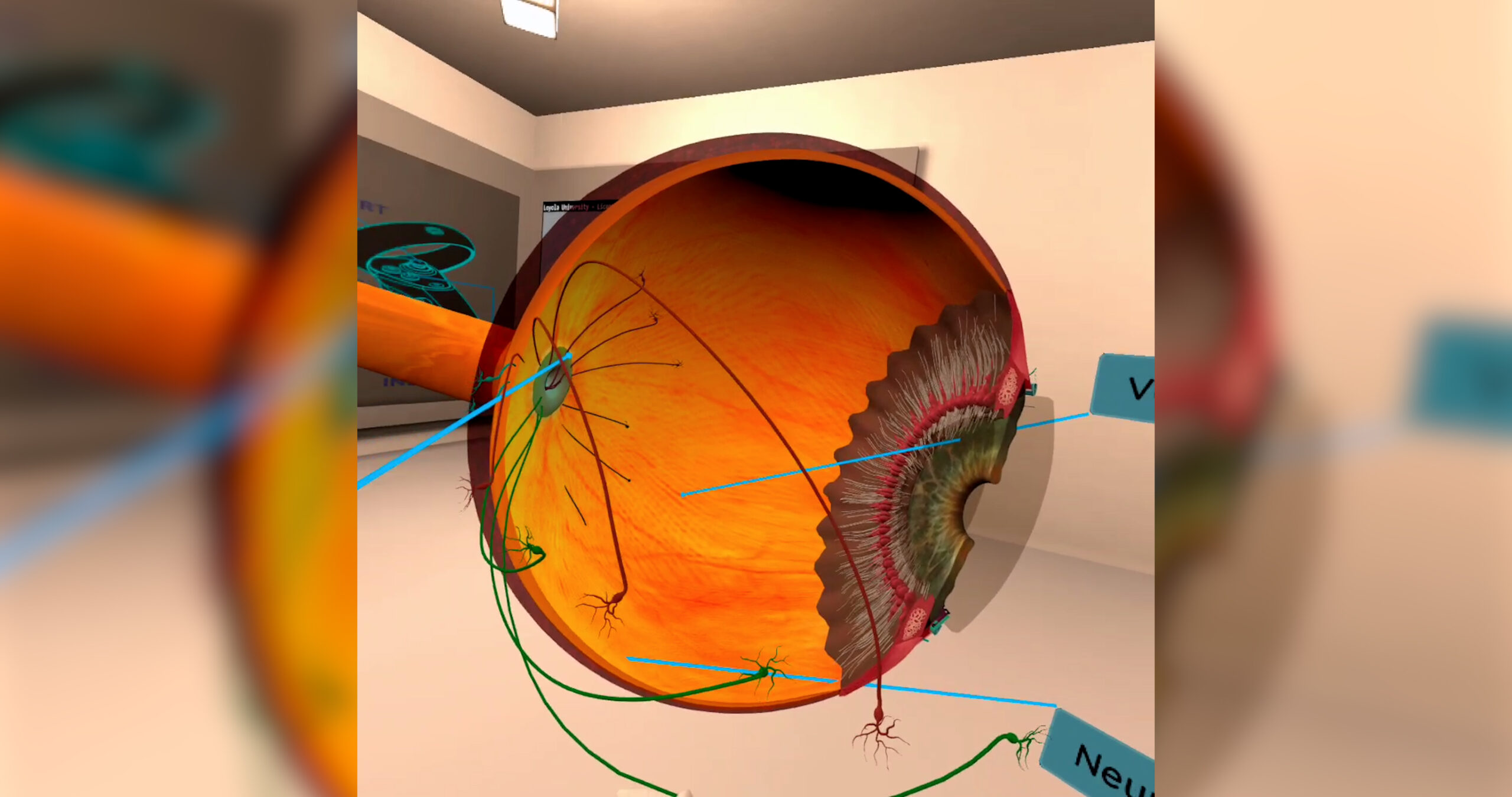 Virtual Reality Technology Allows Medical Students More Insight Into ...